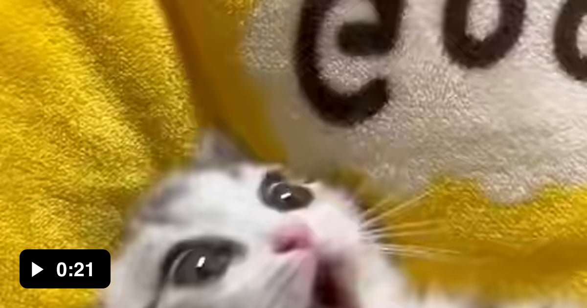 The perfect loop… - 9GAG