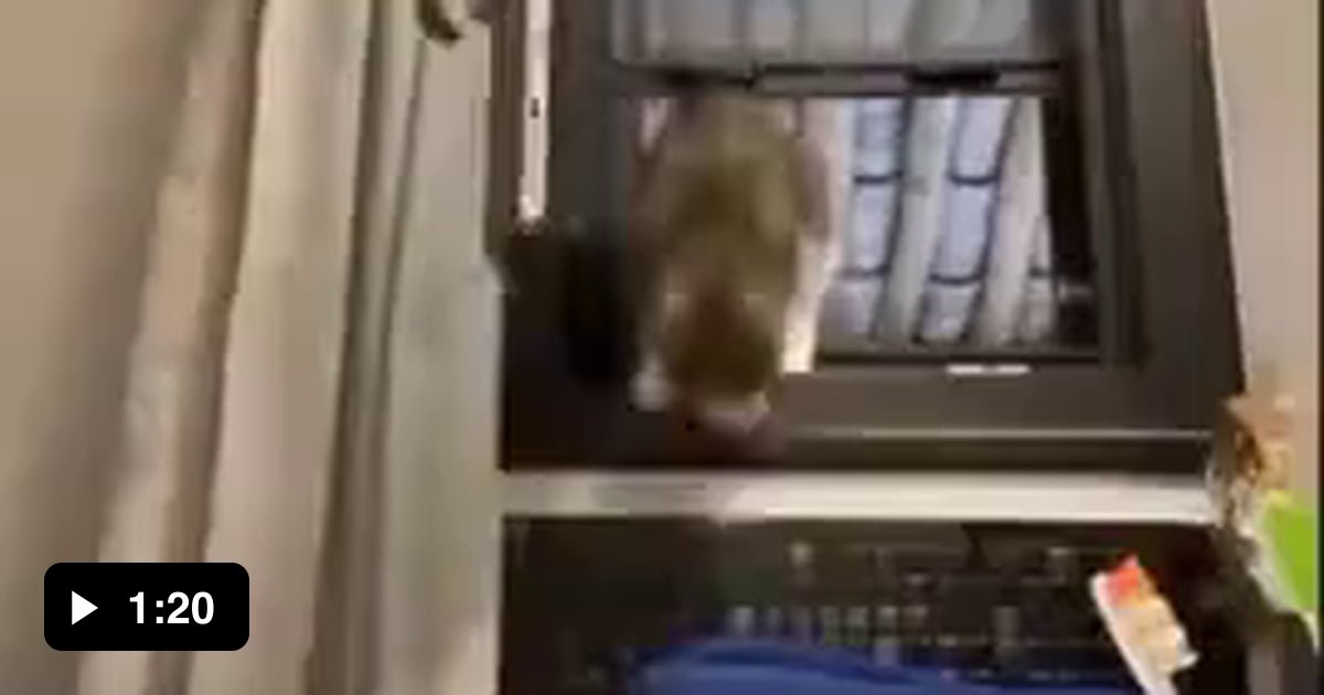 Yes, but why?? - 9GAG