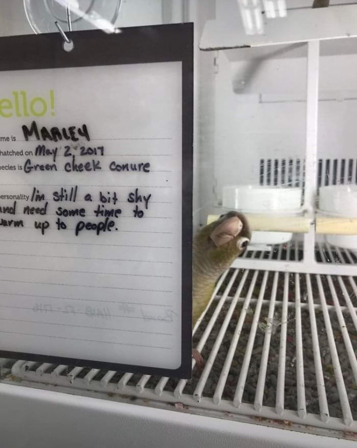 I hear you buddy, same here - 9GAG