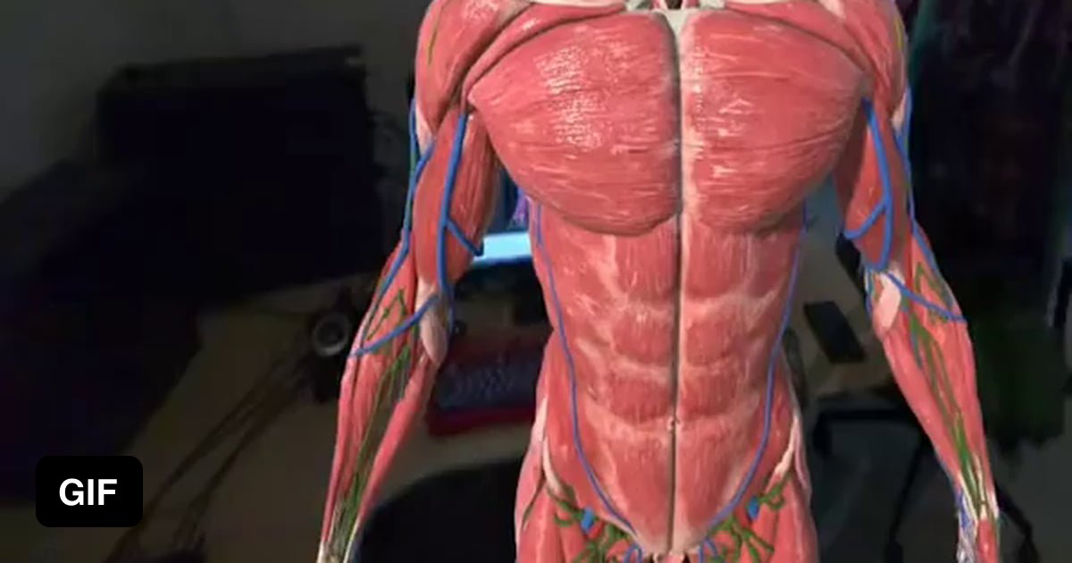 Game changing level of detail in this VR Human skeleton - 9GAG