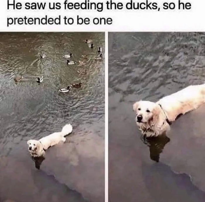 He's committed to the role - 9GAG