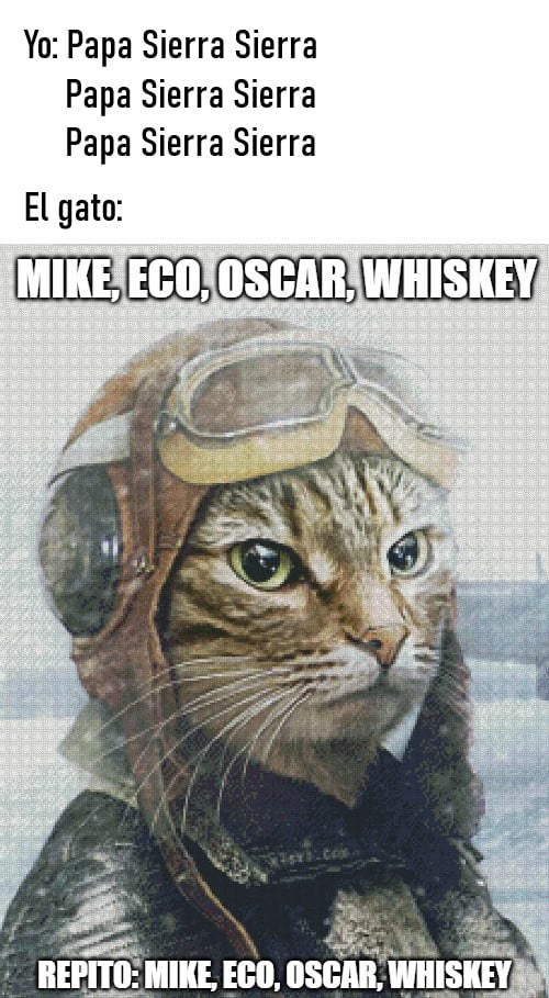 Micho, micho, michito... - 9GAG