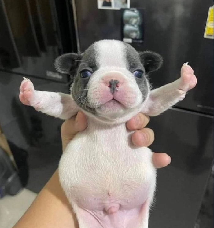 Stoooooooooooooop Fighthiiiiiiiiiiiiiiiiiiiiiing 9gag