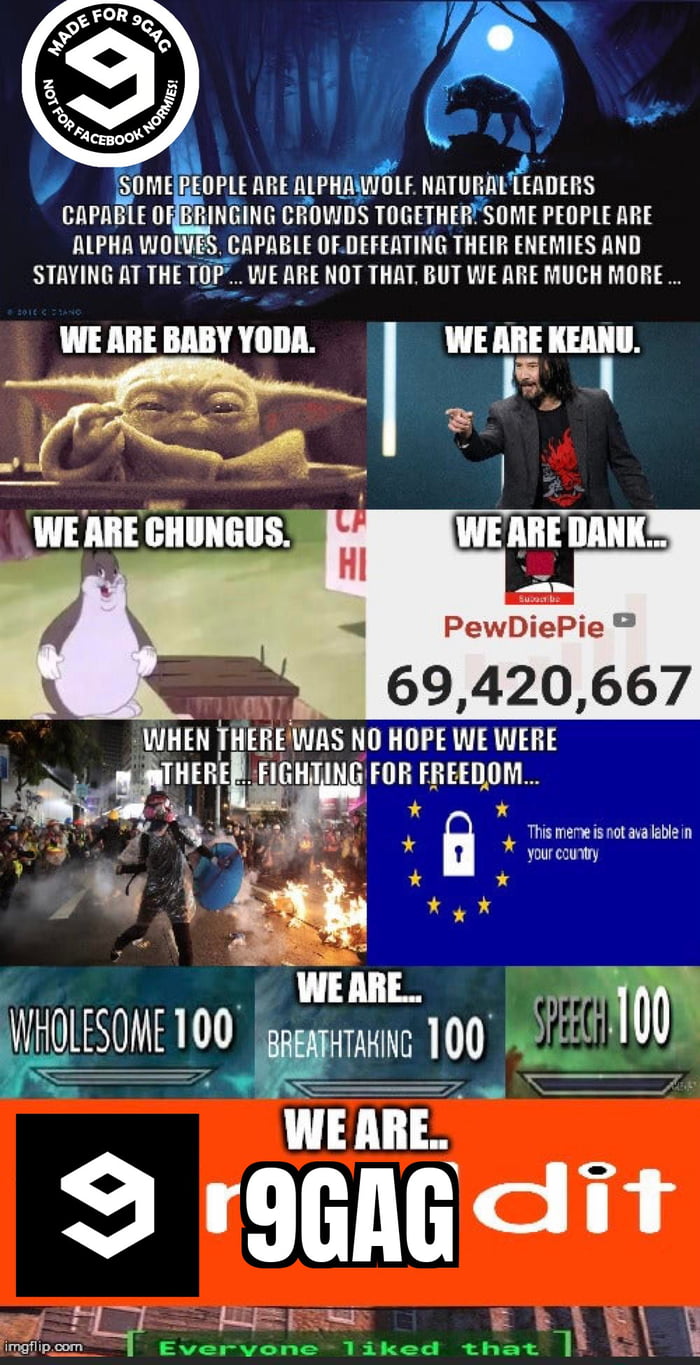 This Meme Brought a Tear To My Eye. 🥲🥲🥲 I'm So Proud of the 9GAG Community and Everything We've ...