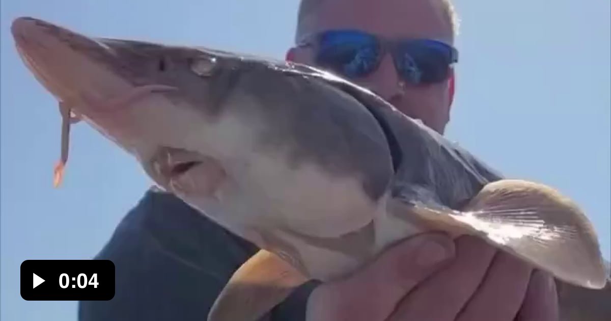 9gag pro user in natural habitat - 9GAG