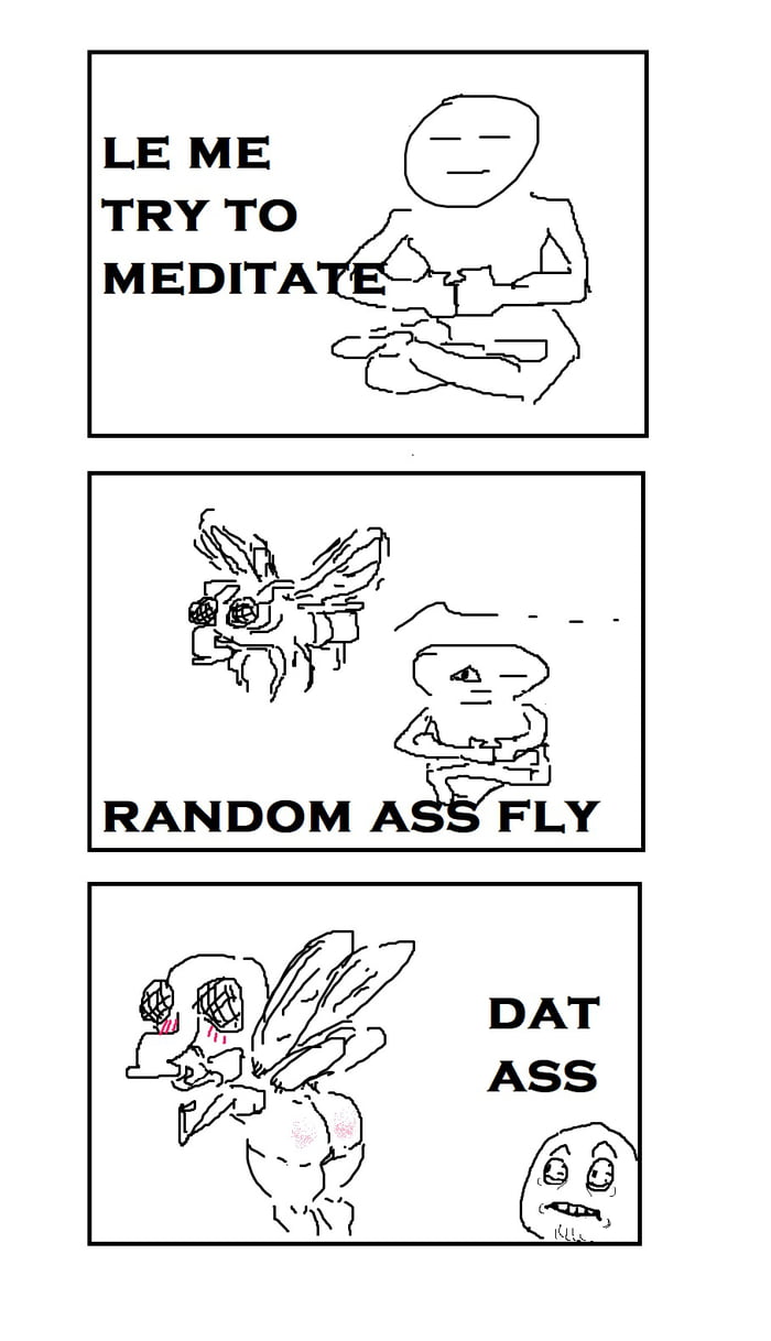 Ass fly - 9GAG