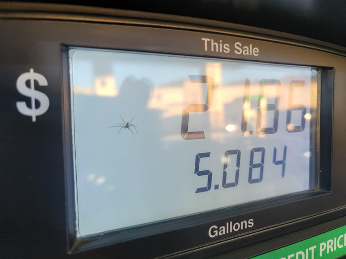 Spider got stuck inside the gas pump - 9GAG