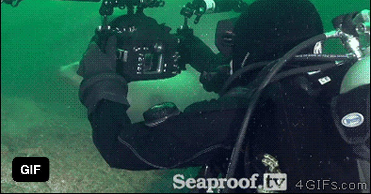 *curious chomp* - 9GAG