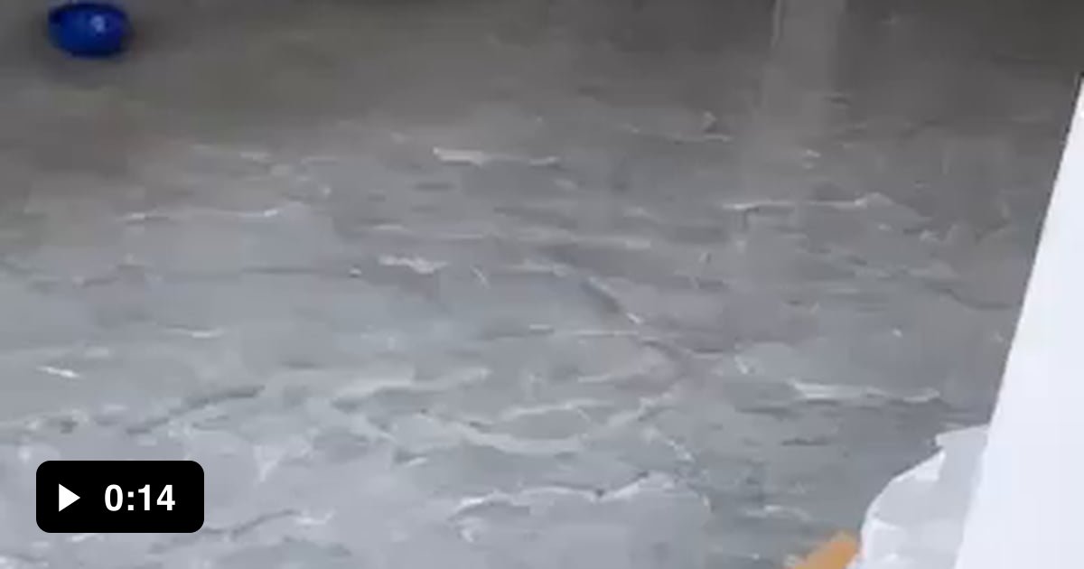 Playtime yet? - 9GAG