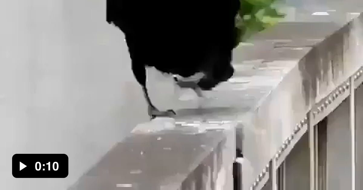 A swag for the few - 9GAG