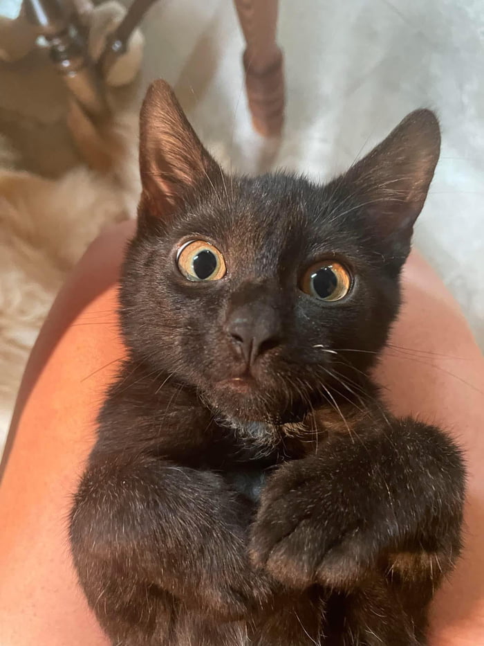 Youngster Void - 9GAG