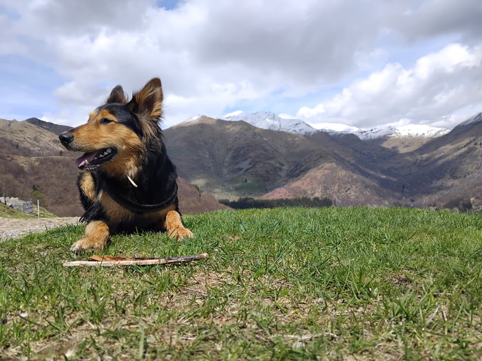 Posting Echo - Spring is back!! - 9GAG