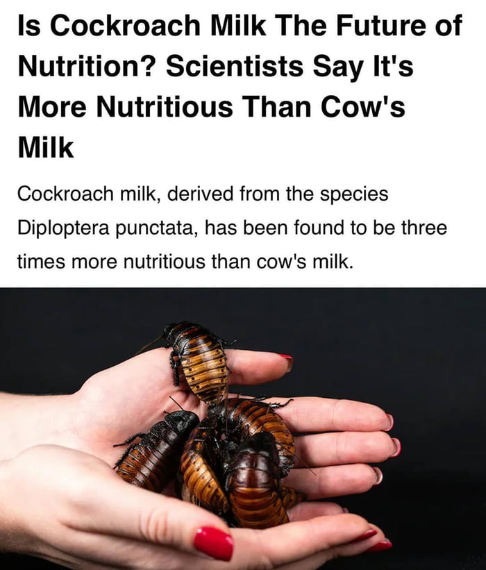 Cockroach milk - 9GAG