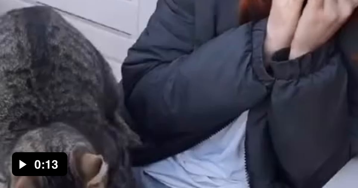 I told you I'd find a comfortable bed! - 9GAG