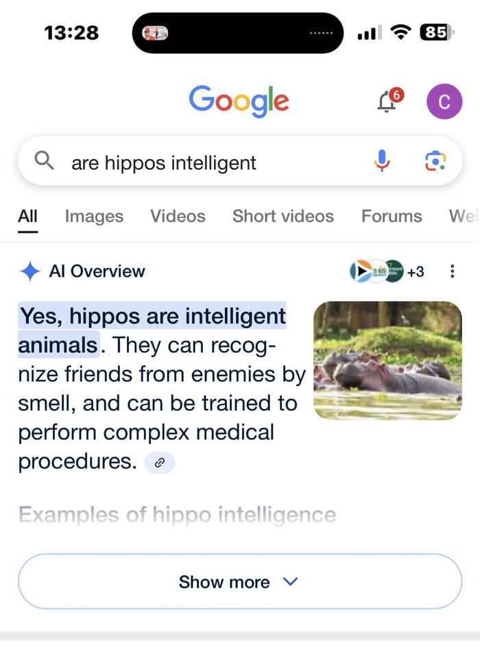 Imagine a hippo as your surgeon! Google AI is ridiculous. - 9GAG