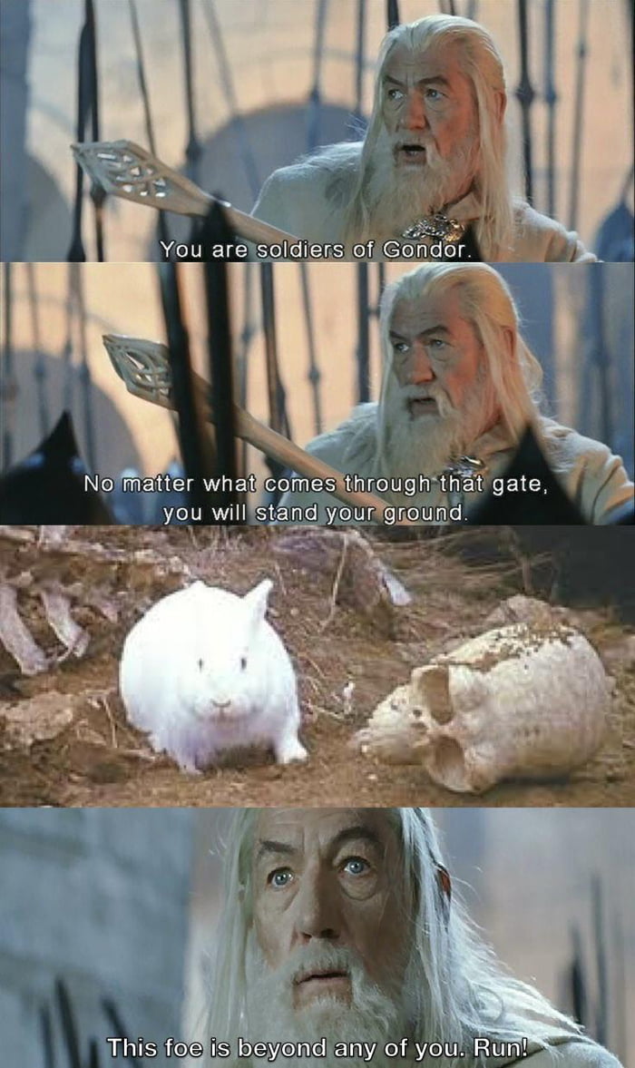 The wisest wizard - 9GAG