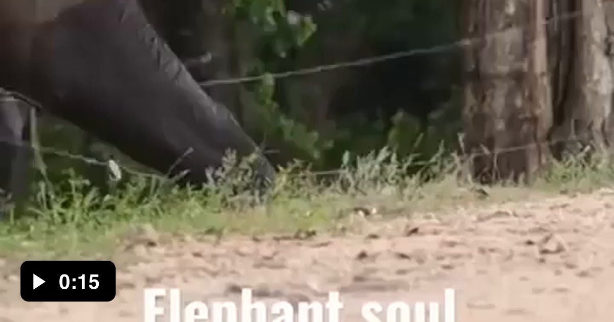 Big dick problems - 9GAG