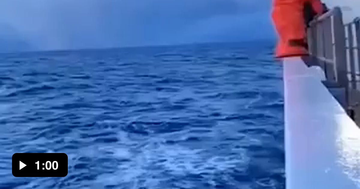 Mighty ocean Credit: @245in90 - 9GAG