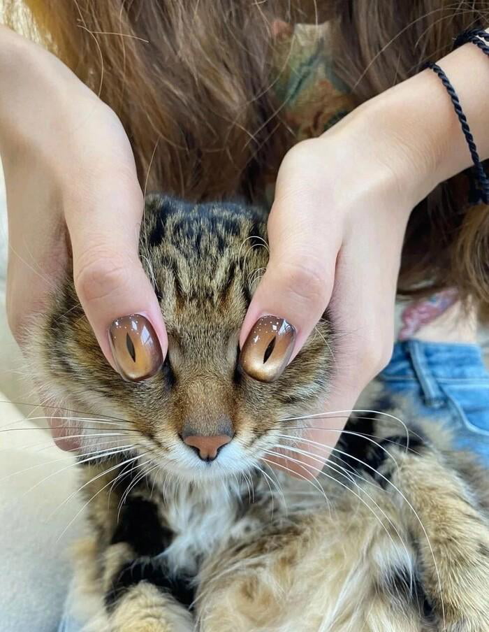 Catseyes Nails - 9GAG