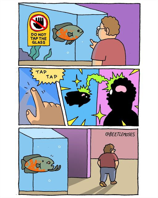 What have you done you fishery fish??? - 9GAG