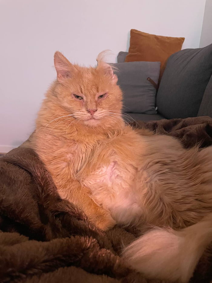 He’s old and grumpy - 9GAG