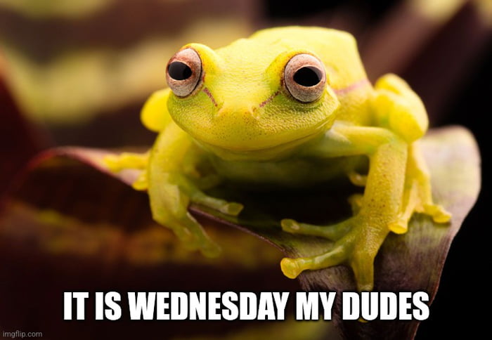 Wednesday - 9GAG