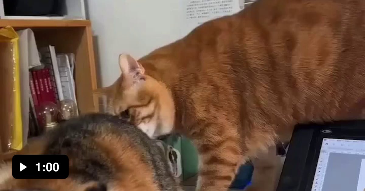 Just one bite! - 9GAG