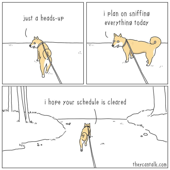 A 15min walk turns into a 2hour walk - 9GAG