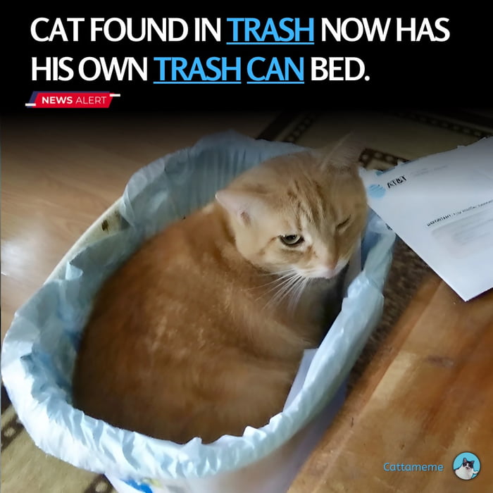 I am trash too - 9GAG