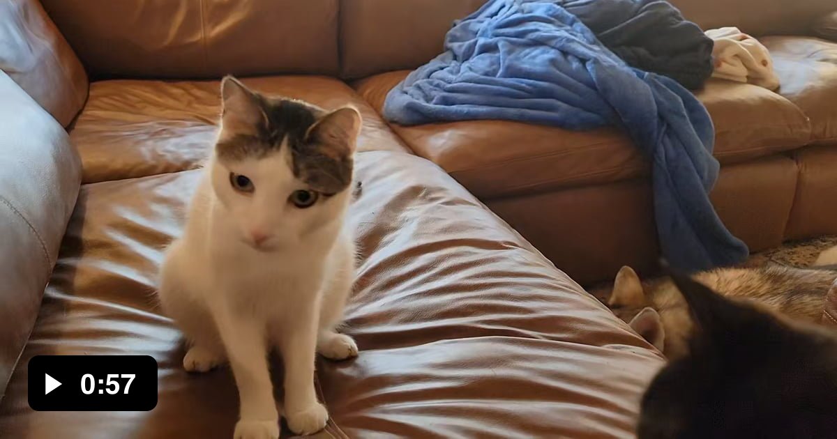 10/10 magic trick - 9GAG