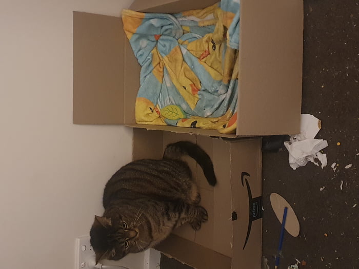 Try again (9gag flipped it last time, unsure why) put an empty box down ...