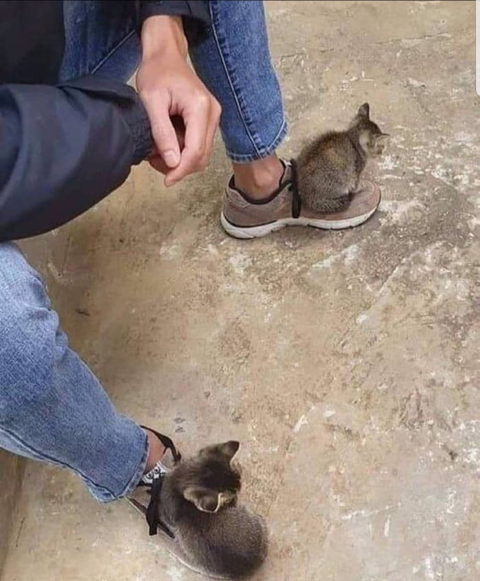 Wont make it to work today boss!! - 9GAG