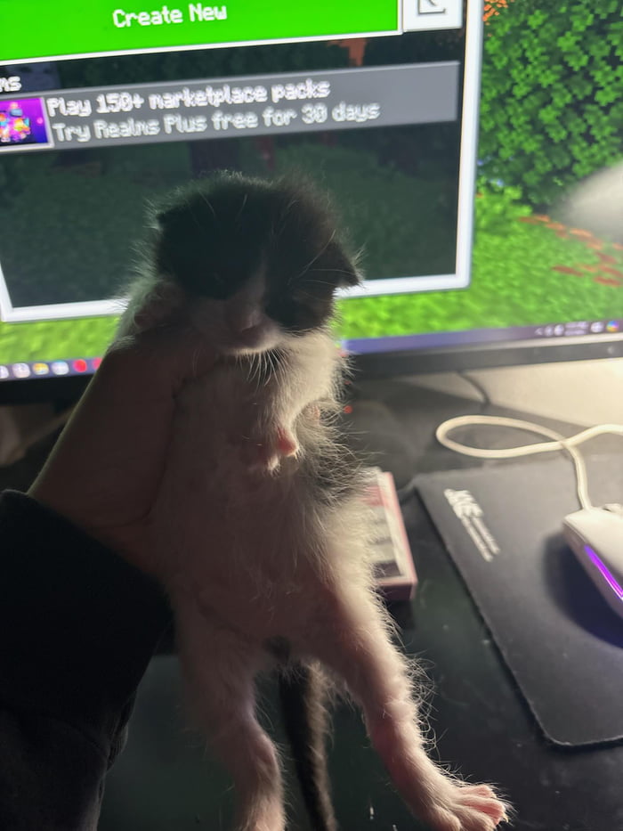 Gaming Set-up Reveal - 9GAG