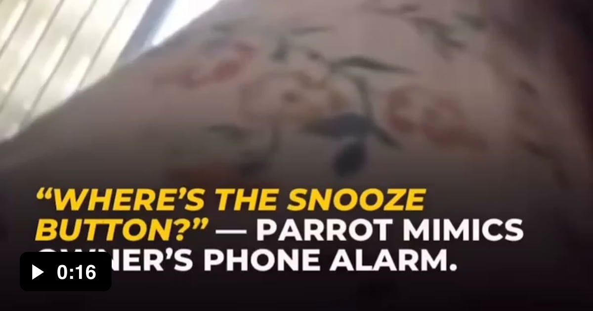 How to turn her off? - 9GAG