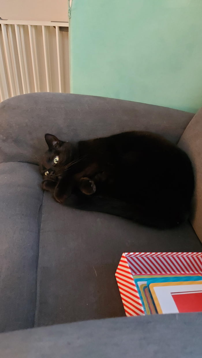 Black void hugging her paws - 9GAG