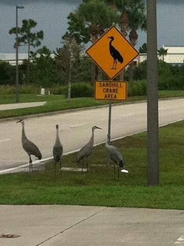 Accurate sign and location - 9GAG