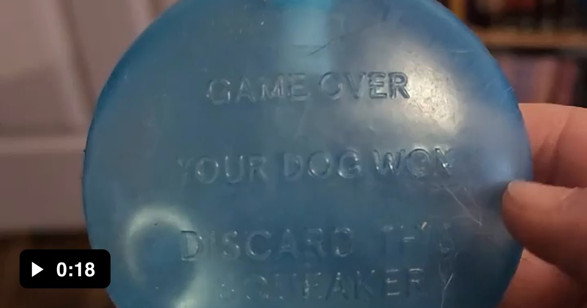 He's just getting his taste buds ready for the squeak. - 9GAG