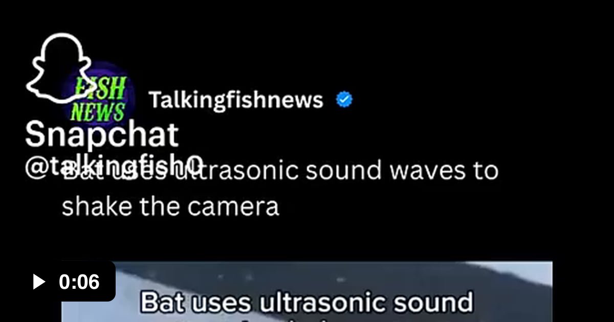 When the bat demands a dramatic camera effect. - 9GAG