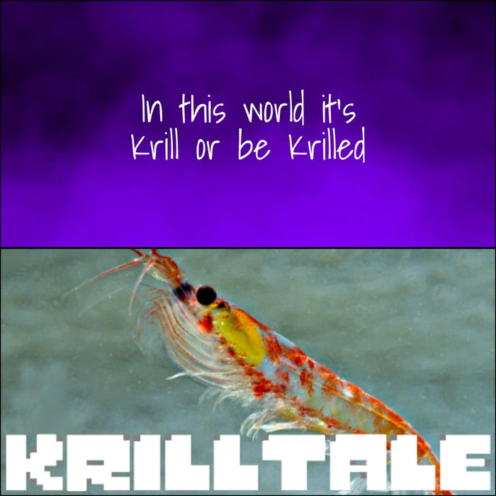 Prepare for a shell-shocking adventure. - 9GAG