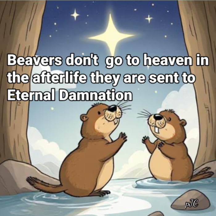 Beaver - 9GAG