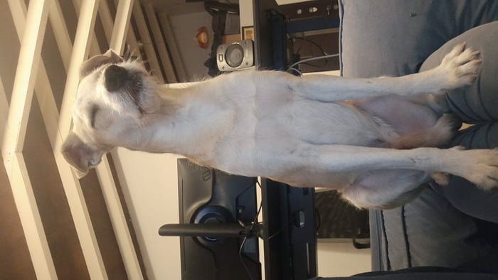 Bro? Do I look high - 9GAG