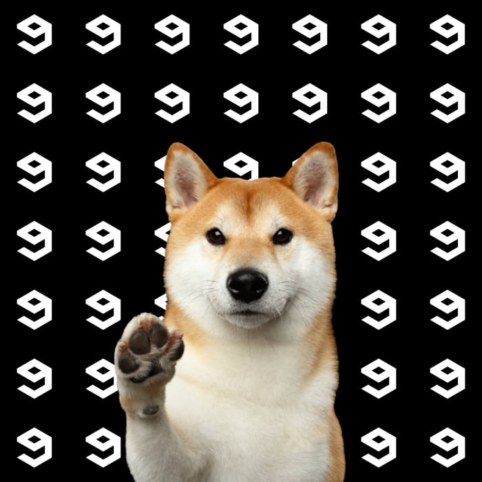 First ever Solana dog launched on 9GAG $9DOG - 9GAG