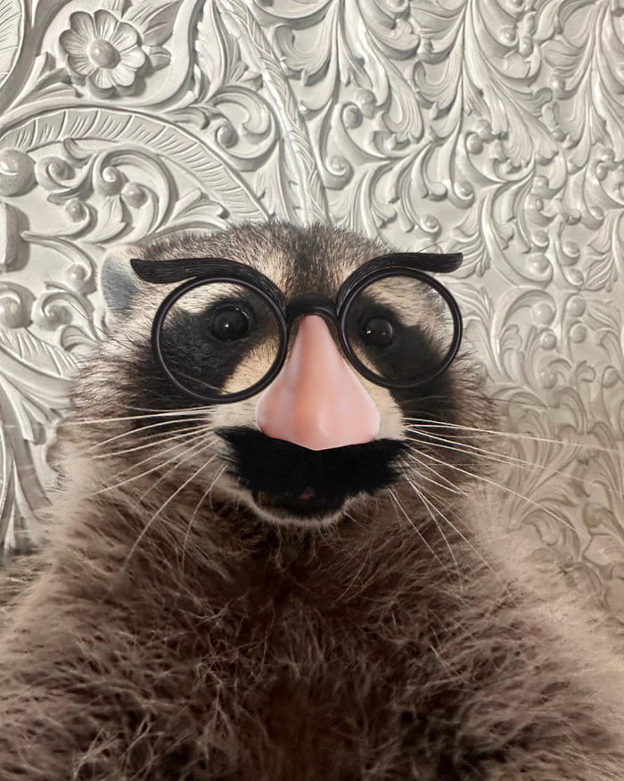 Hello nice people - 9GAG