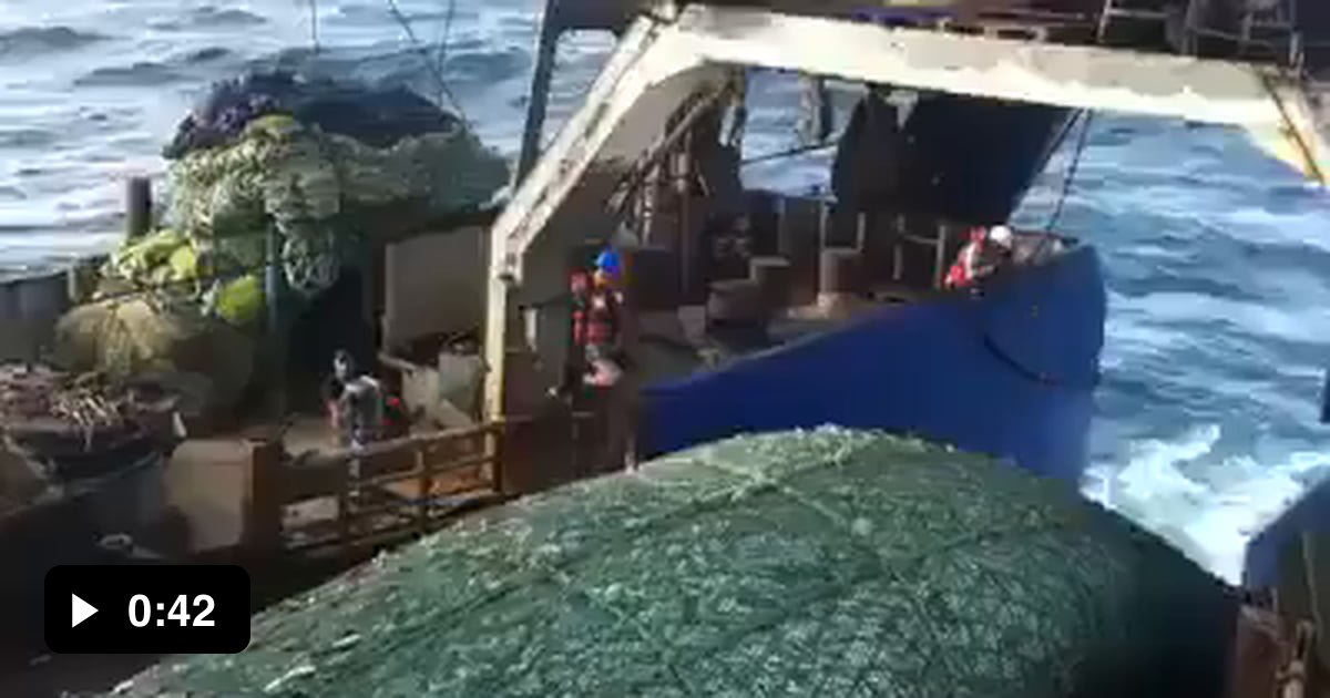 So this is what overfishing looks like. - 9GAG