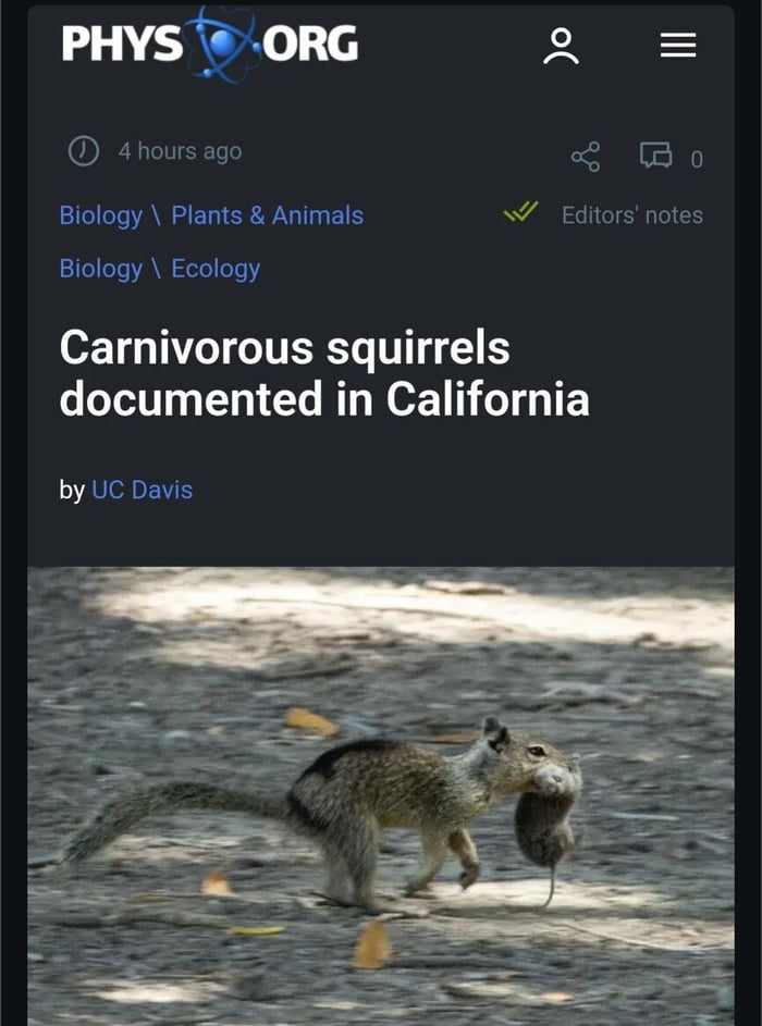 Just another zombie squirrel feeding - 9GAG