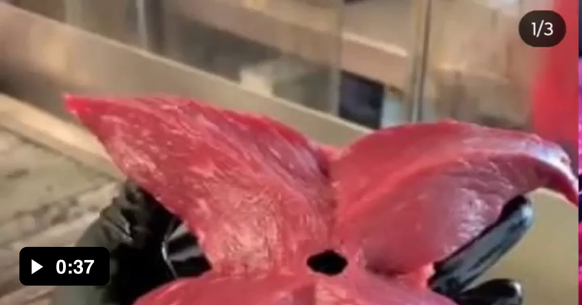 They're cooking Patrick star - 9GAG