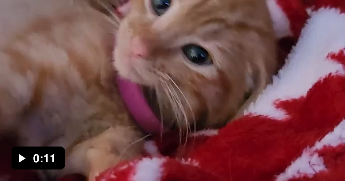 Daily dose of Pink! - 9GAG