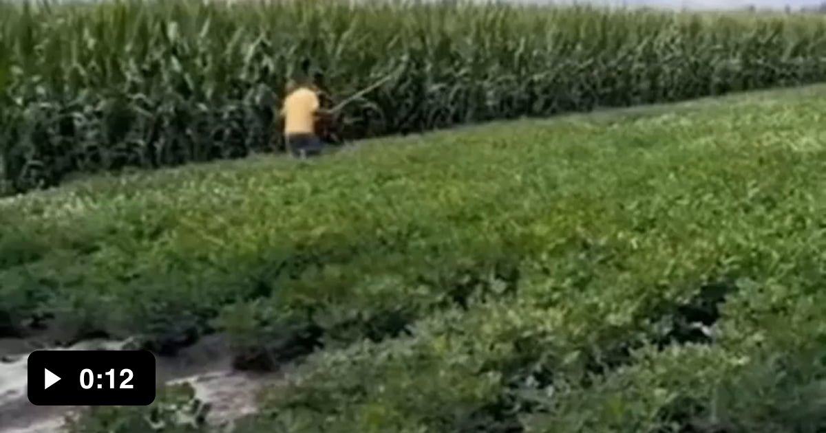 Man Destroys $20,000 Farm Drone with Stick - 9GAG