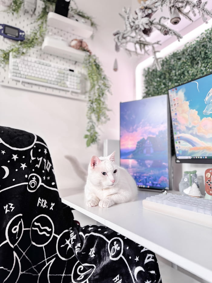 The best desk pal - 9GAG