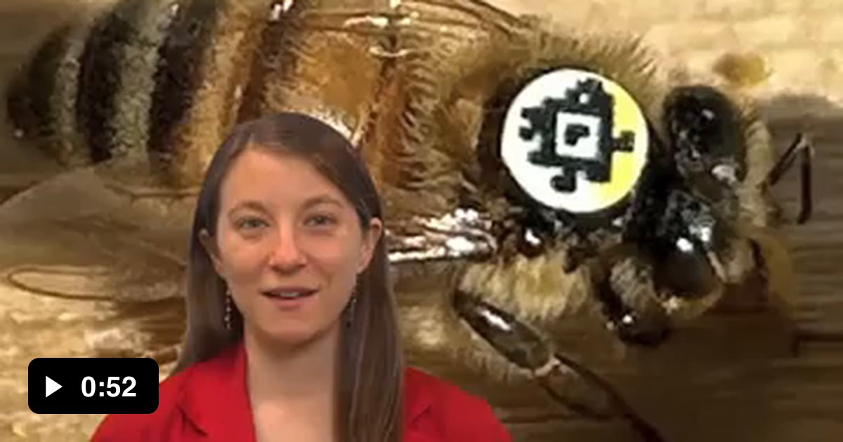 Why Bees Are Wearing QR Codes - 9GAG